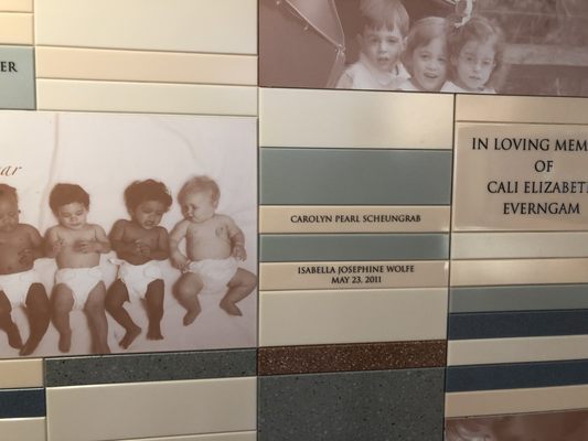 GBMC - GREATER BALTIMORE MEDICAL CENTER - Updated January 2026 - 42 ...