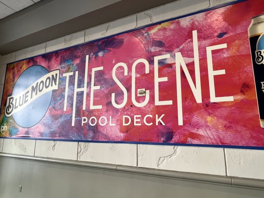 THE SCENE POOL DECK - 72 Photos & 37 Reviews - 3667 Las Vegas Boulevard ...