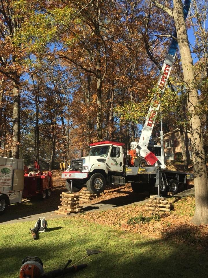 KING TREE EXPERTS - Updated August 2025 - 16 Photos - 1687 Rock Cut Rd, Conley, Georgia - Tree ...