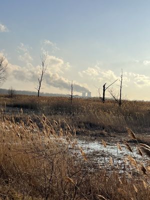 POINTE MOUILLEE STATE GAME AREA - Updated October 2025 - 37205 Mouillee ...