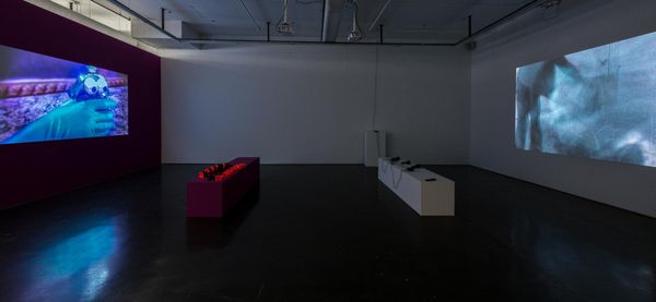 CASSINA PROJECTS - Updated May 2024 - 508 W 24th St, New York, New York ...