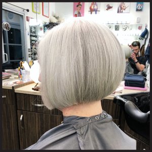 SALON SIMIS - 1181 Photos & 499 Reviews - 10090 Main St, Fairfax ...