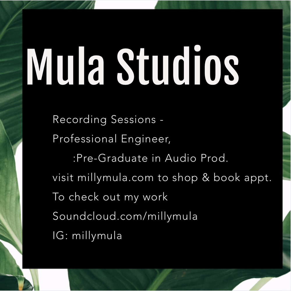 MULA STUDIOS - Updated June 2024 - Saint Louis, Missouri - Music ...