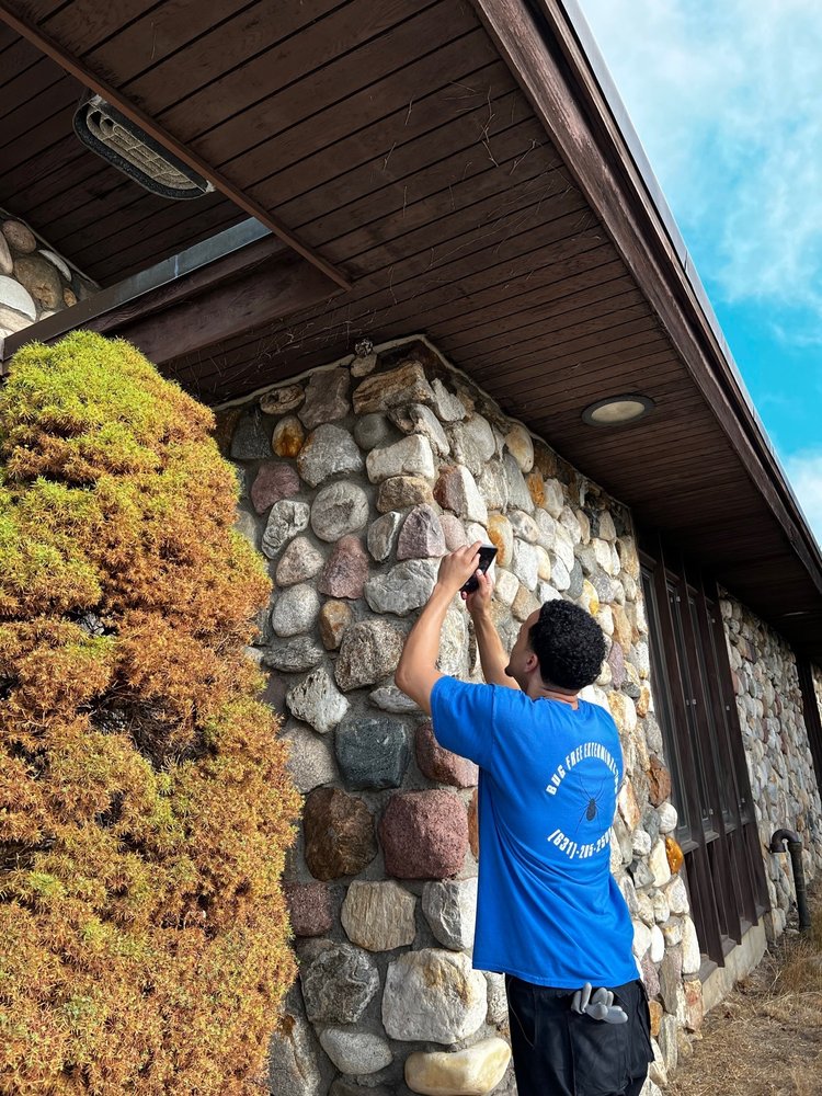 BUG FREE EXTERMINATING - Updated October 2025 - 21 Photos - 176 Weeks ...