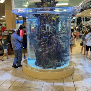 SCHEELS - 571 Photos & 178 Reviews - 4450 Destination Dr, The Colony ...