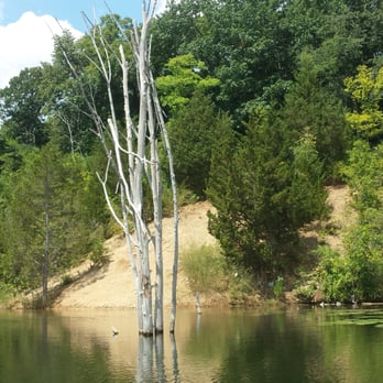 INDEPENDENCE GROVE FOREST PRESERVE - Updated February 2025 - 315 Photos ...