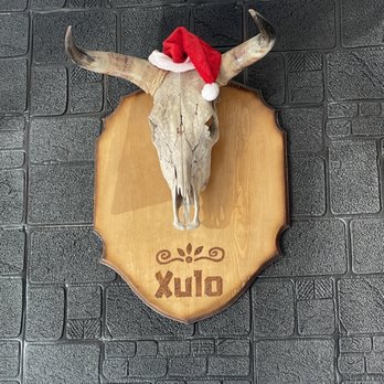 XULO COFFEE BAR - Updated July 2024 - 269 Photos & 156 Reviews - 8698 ...
