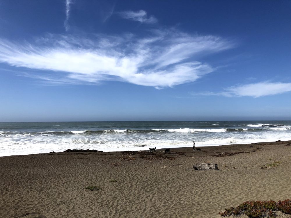 SHAMEL PARK - 111 Photos & 23 Reviews - 5455 Windsor Blvd, Cambria, CA ...