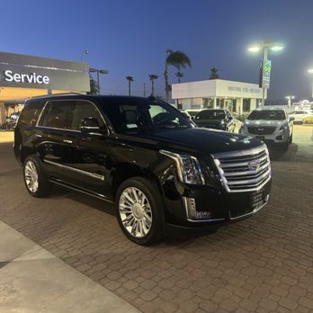 DUTTON MOTOR COMPANY - Updated August 2024 - 83 Photos & 384 Reviews ...