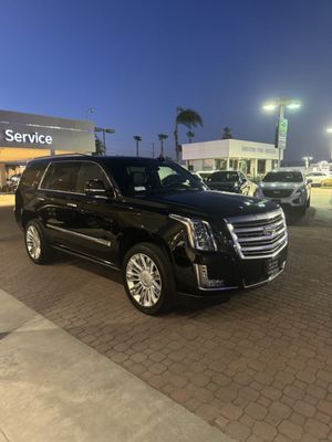 DUTTON MOTOR COMPANY - Updated January 2026 - 92 Photos & 453 Reviews ...