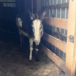 ALPHA AND OMEGA PIZZA FARM - Updated October 2025 - 43 Photos & 10 ...