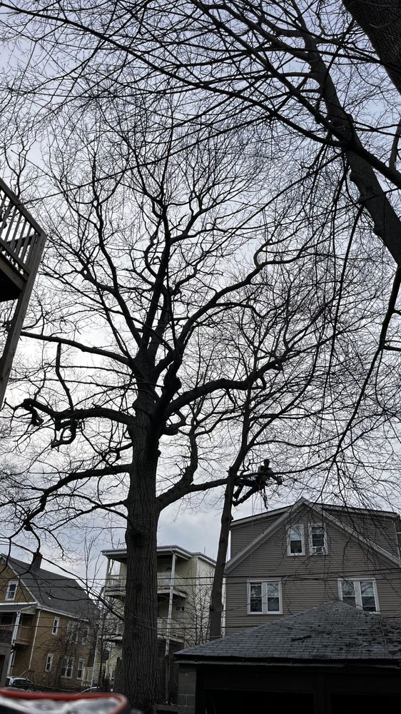 GREEN ARBOR TREE & PROPERTY - Updated December 2025 - 97 Photos ...