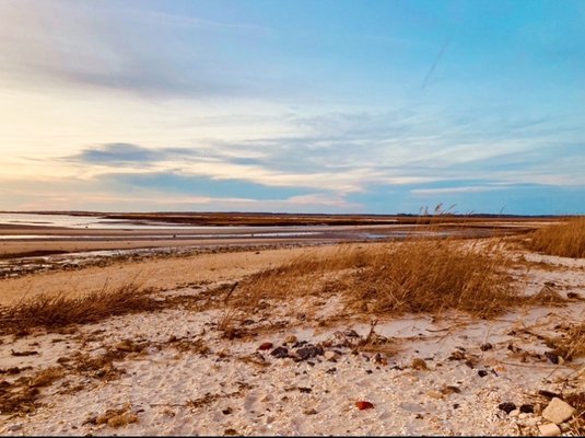 MOORE’S BEACH - Updated August 2025 - 26 Photos - Moore's Beach ...