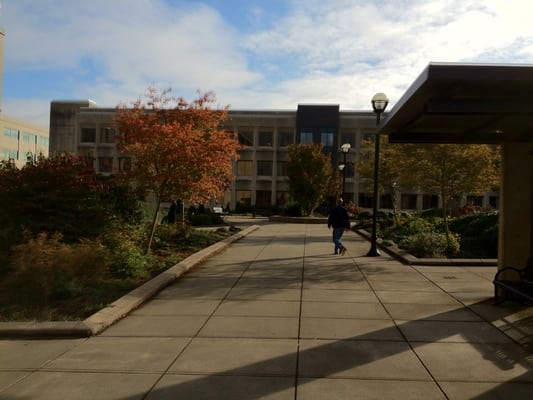 WASHINGTON STATE DEPARTMENT OF HEALTH AND SOCIAL SERVICES - Updated ...