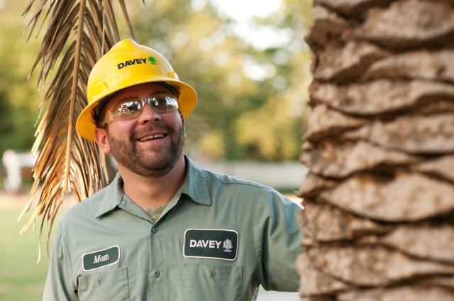 THE DAVEY TREE EXPERT COMPANY - Updated January 2026 - 4563 Sunbeam Rd ...