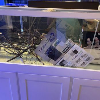 THE REEF AQUARIUM SHOP - Updated December 2025 - 133 Photos & 83 ...