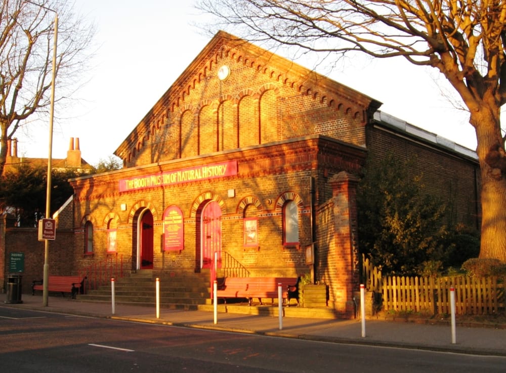 BOOTH MUSEUM OF NATURAL HISTORY - Updated June 2025 - 11 Reviews - 194 ...