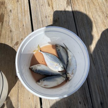 HUNGRY TARPON RESTAURANT - Updated July 2024 - 707 Photos & 583 Reviews ...