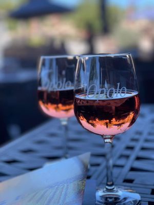 OPOLO VINEYARDS - 643 Photos & 567 Reviews - 7110 Vineyard Dr, Paso ...