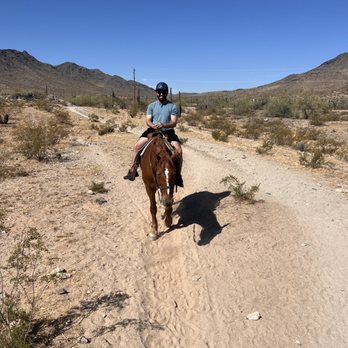 PONDEROSA STABLES - Updated October 2024 - 239 Photos & 195 Reviews ...