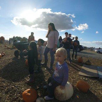 BAUMAN’S FARM AND GARDEN - Updated October 2025 - 365 Photos & 169 ...