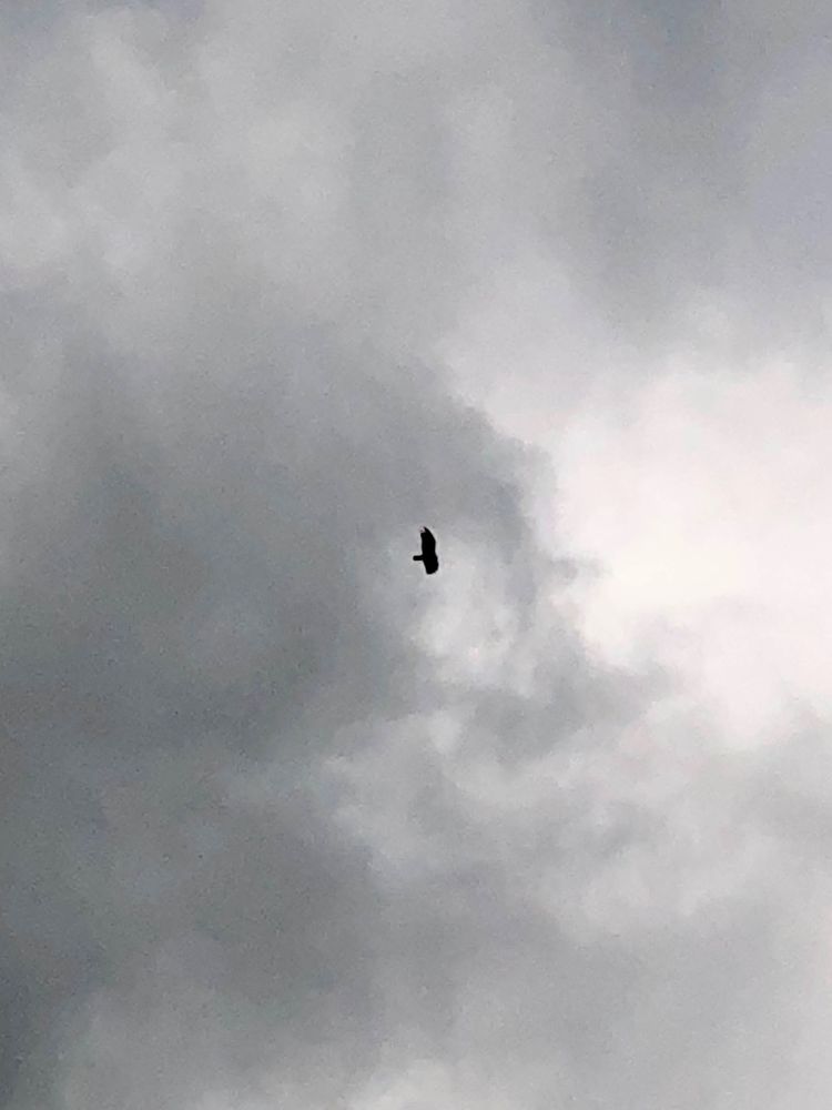 BUTTERCUP FARM AUDUBON SANCTUARY - Updated August 2025 - 21 Photos ...