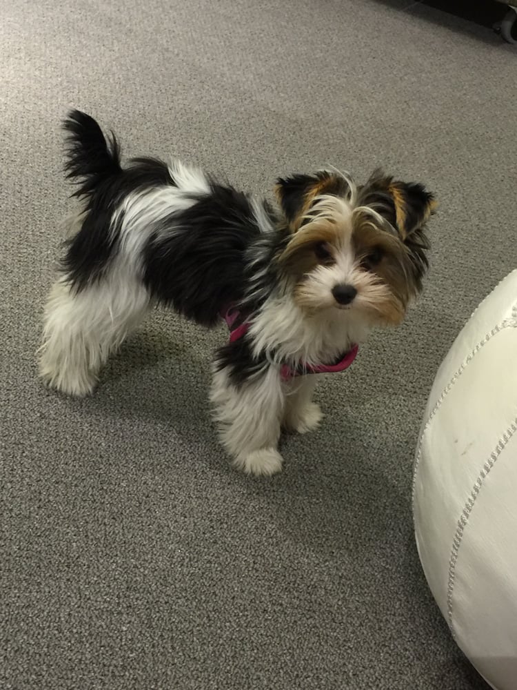 JUNE RUBY - 17 Photos - 8216 Northfield Blvd, Denver, CO - Yelp