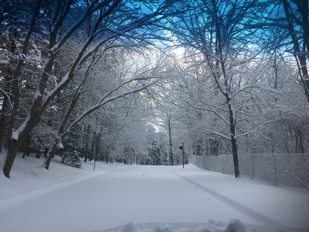 COOK PARK - Updated September 2025 - Shambrook Pkwy, Colonie, New York ...