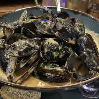 OCTOPUS KITCHEN - Updated August 2024 - 424 Photos & 241 Reviews - 1551 ...