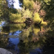 NILES COMMUNITY PARK - 195 Photos & 36 Reviews - Parks - 37697 3rd St ...