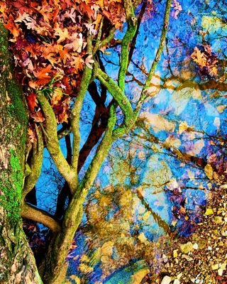 POWDER VALLEY CONSERVATION NATURE CENTER - Updated December 2024 - 243 ...