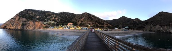 CATALINA ISLAND MARINE INSTITUTE - 40 Photos & 28 Reviews - 1 Toyon Bay ...