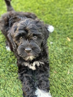 RIVER DOODLES - Updated September 2024 - 44 Photos & 32 Reviews - 770 S ...