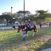 BERGERON RODEO GROUNDS - 45 Photos & 10 Reviews - 4271 Davie Rd, Davie ...
