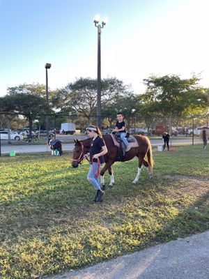 BERGERON RODEO GROUNDS - 38 Photos - Davie, Florida - Rodeo - Phone ...