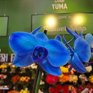 WALMART SUPERCENTER - Updated April 2025 - 21 Photos & 16 Reviews ...