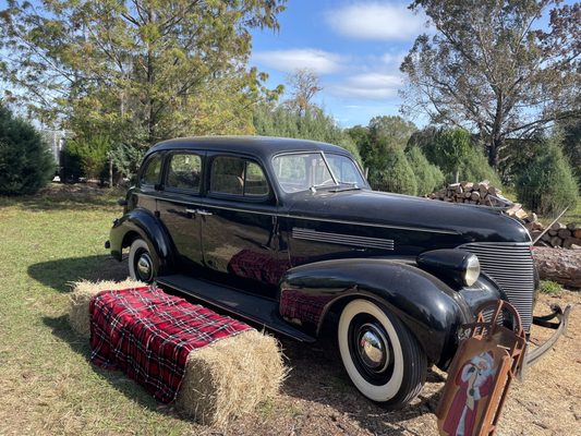 BLUE ACRES FARM - Updated January 2026 - 20638 Moreland Dr, Spring Hill ...