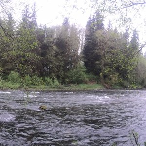 THE HIDEAWAY RV PARK - Updated June 2025 - 10 Photos - 814 Hobuck Rd ...