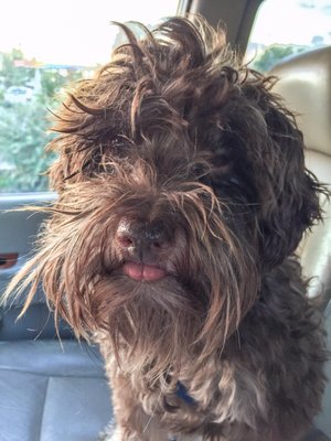 COMPANION ANIMAL HOSPITAL - Updated December 2025 - 27 Reviews - 2034 W ...