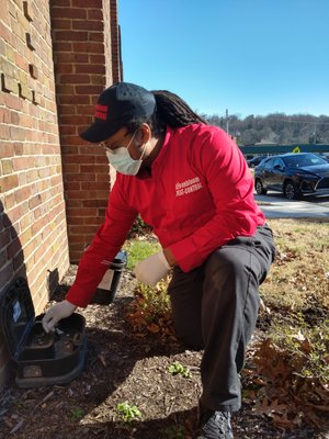 ROSENBLOOM PEST CONTROL - Updated June 2025 - 21 Photos - 311 ...