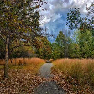 PEEBLES ISLAND STATE PARK - 101 Photos & 17 Reviews - 1 Delaware Ave ...