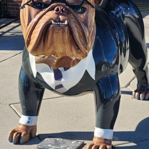 ALLEN COUNTY PUBLIC LIBRARY - Updated January 2026 - 33 Photos & 14 ...