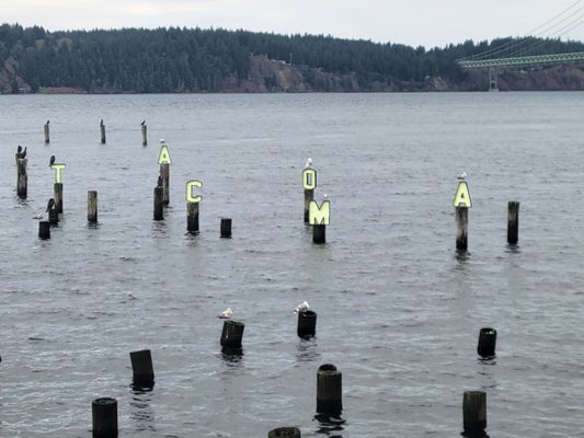 TITLOW BEACH AND PARK - Updated December 2024 - 119 Photos & 37 Reviews ...