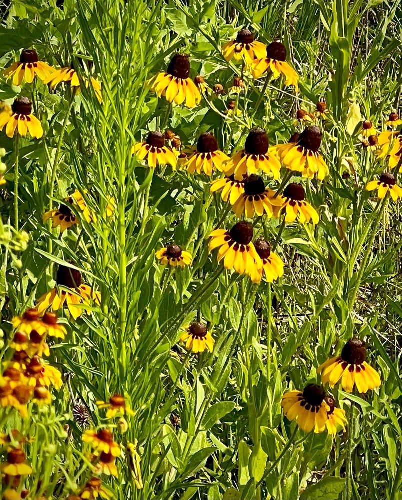 RUSSELL PARK - Updated May 2024 - 49 Photos & 20 Reviews - 2101 CR 262 ...