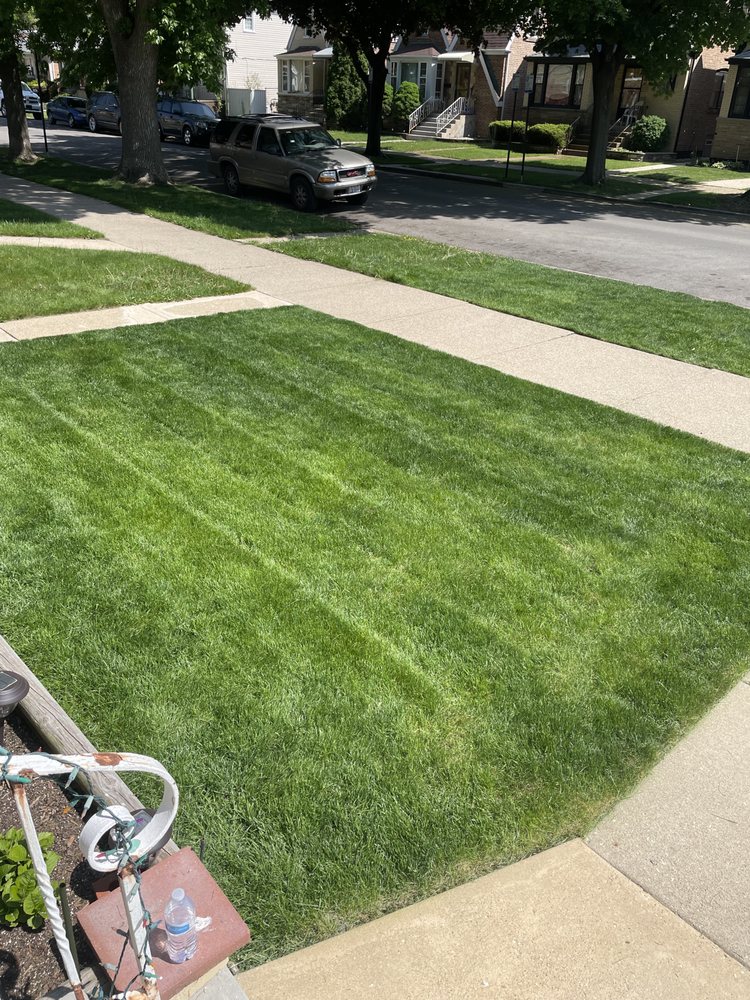 GENIE SOLUTIONS PAINTING AND LANDSCAPING - Updated June 2024 - 28 ...