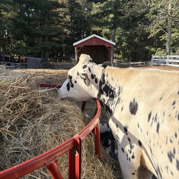 SMILING HILL FARM - Updated December 2025 - 184 Photos & 70 Reviews ...