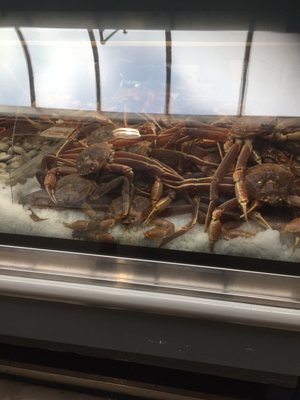 SHAMROCK FISH - Updated November 2024 - 7015 Avenue Casgrain, Montréal ...