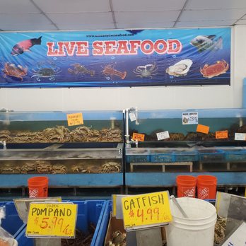 USA DAILY LIVE SEAFOOD MARKET - Updated December 2025 - 219 Photos ...