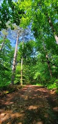 BERRY COLLEGE - Updated December 2025 - 72 Photos & 11 Reviews - 2277 ...