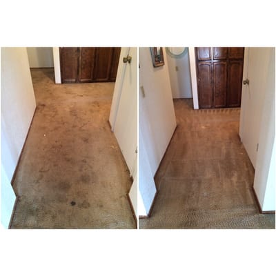WORLD CLASS CARPET CLEANING - Updated November 2025 - 196 Photos & 474 ...